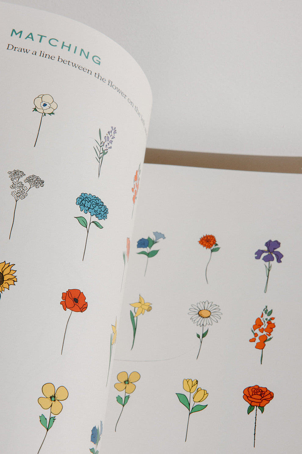 Monthly Activity Magazine for Kids, Age 4-8(ish) – Spark